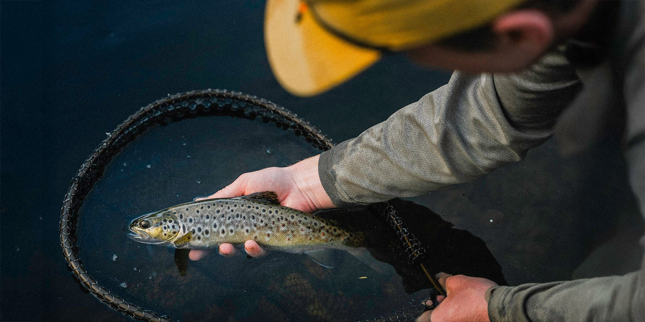 Hopper Session in Stunning Victorian Trout Streams | Australian High C ...