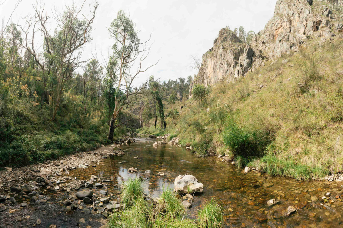 POV Fly Fishing in Kosciuszko National Park | Solo Fly Fishing Adventu ...