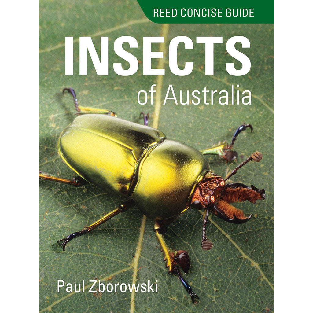 Reed Concise Guide - Insects of Australia — Tom's Outdoors
